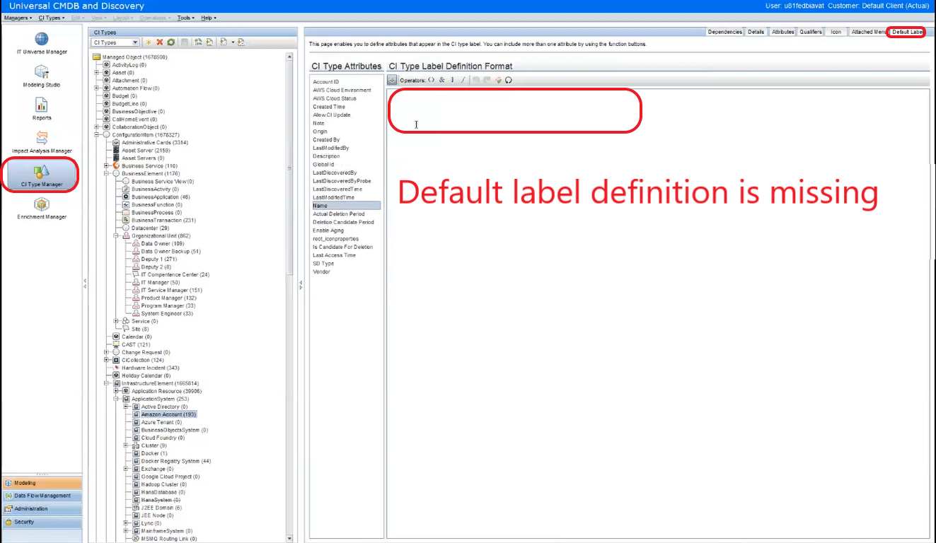 UCMDB Issues with adding new CI and display label is empty