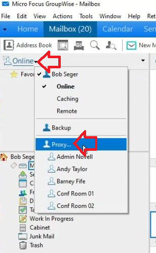 How to assign proxy rights to a GroupWise Resource