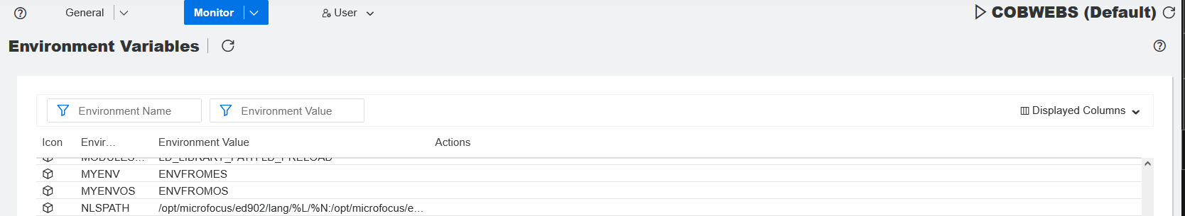 Unable to access environment variables when running program/application in Enterprise Server