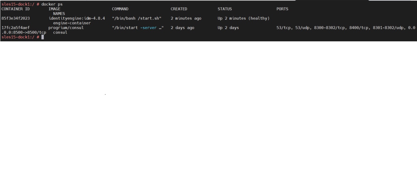 How to configure IDM and eDirectory docker containers for application cores