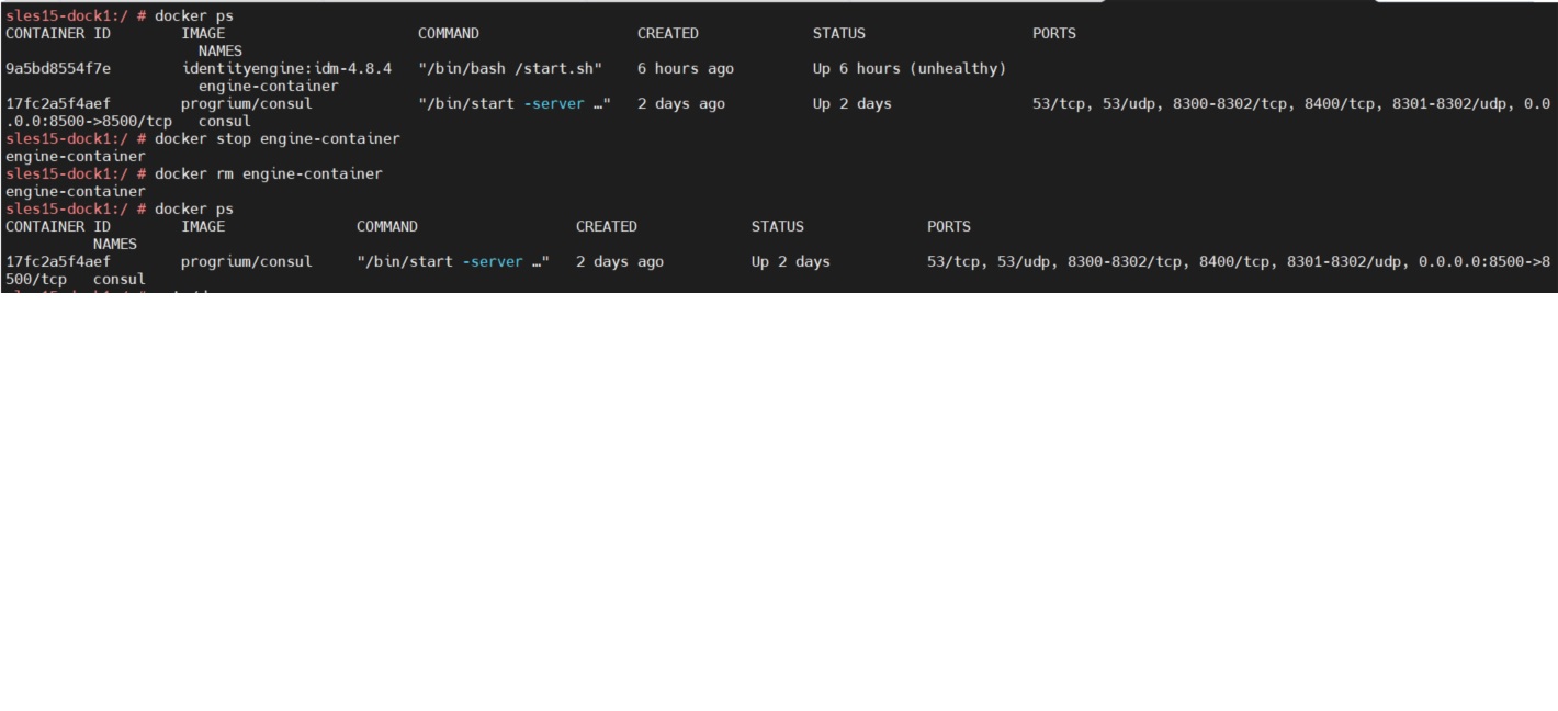 How to configure IDM and eDirectory docker containers for application cores