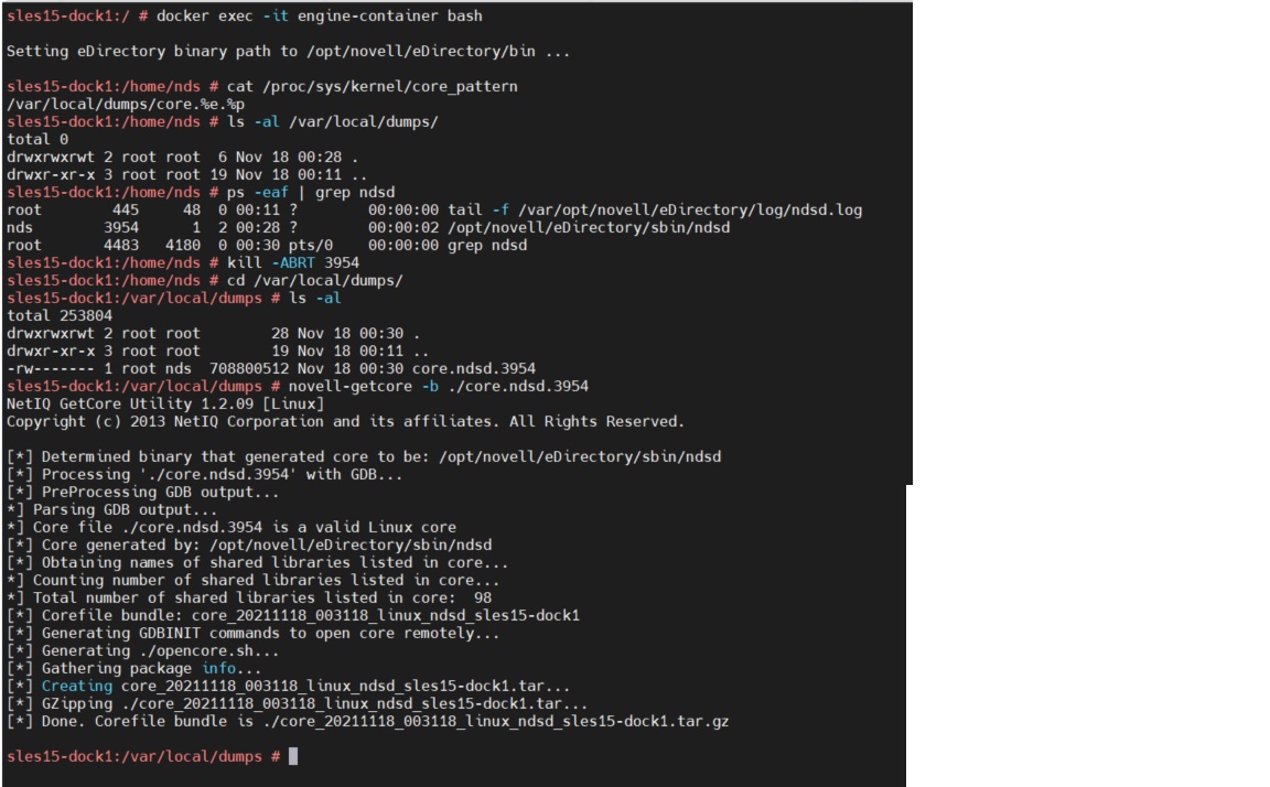 How to configure IDM and eDirectory docker containers for application cores