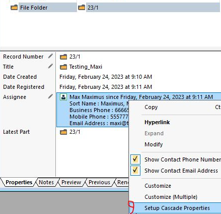 Customize the metadata to be displayed under a multiple values field on ...