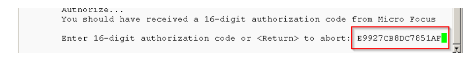 How to install an Authorization Code license on Linux/Unix