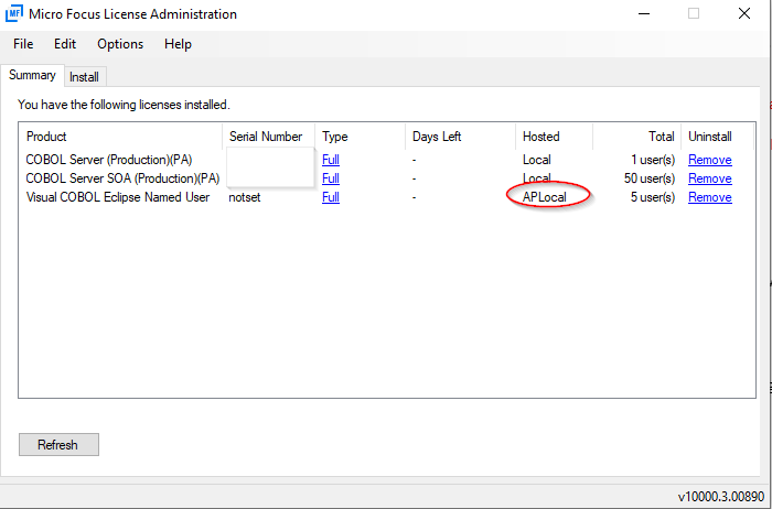 How to setup a license server on Windows
