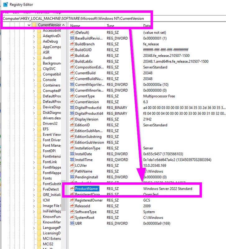 Agent Side System Detection (ASSD) process creates the HP Operations ...