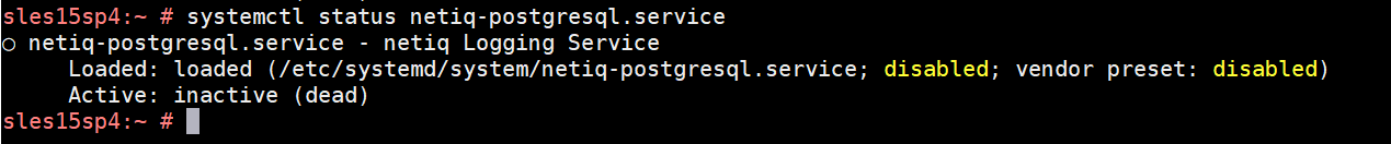 Postgres service doesn't start after reboot