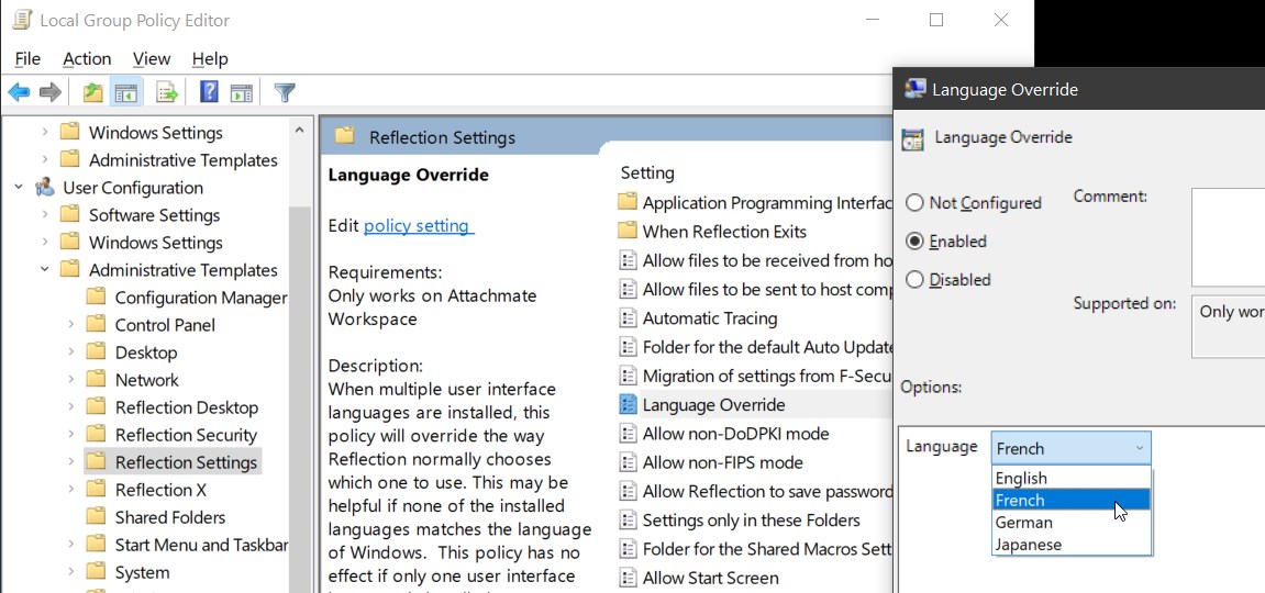 Session settings panels are empty after applying Reflection Desktop 18.0 SP1 on localized Windows