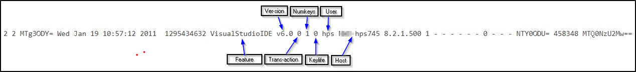 License Administration License usage - understanding the lserv.log