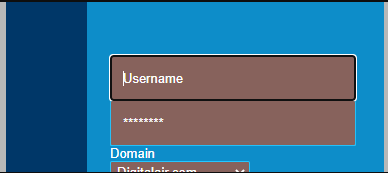 Customizing the Portal Logins - Branding, Colors, Text, Typesets