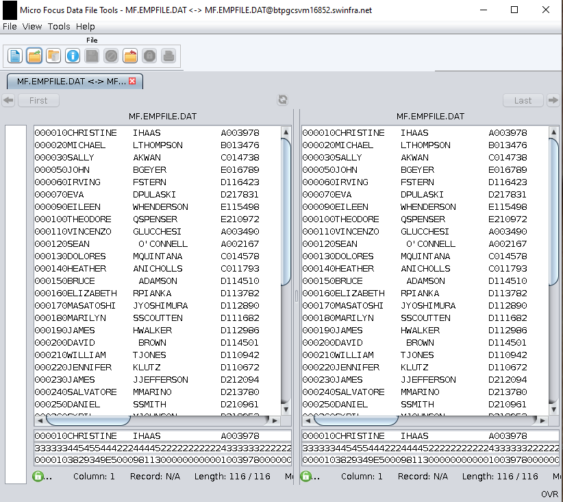 Compare Files in mfdatatools2 in Linux is showing empty screen