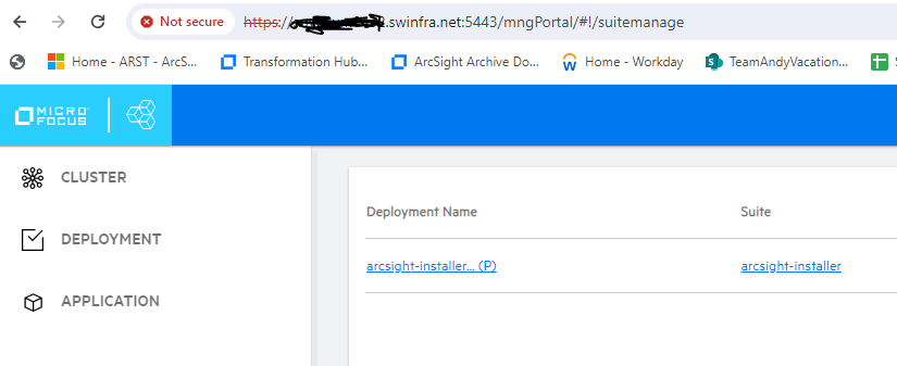 How to check version of Transformation Hub