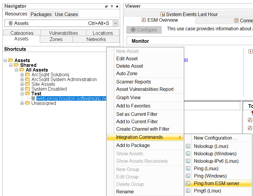 How to ping an asset directly from the ESM console