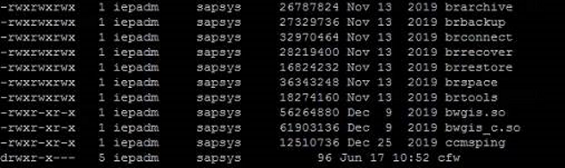 Failed to execute '/usr/sap/IEP/SYS/exe/run/brbackup -t online -d rman_util -c