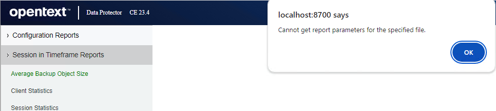 Unable to Generate and View Reports in Magellan BI and Reporting