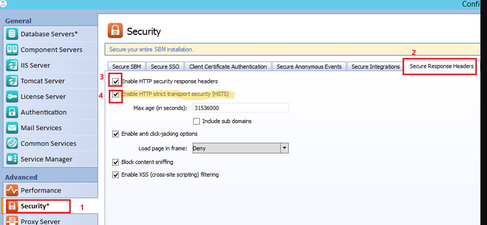SBM: How to fix HSTS Vulnerability in SBM