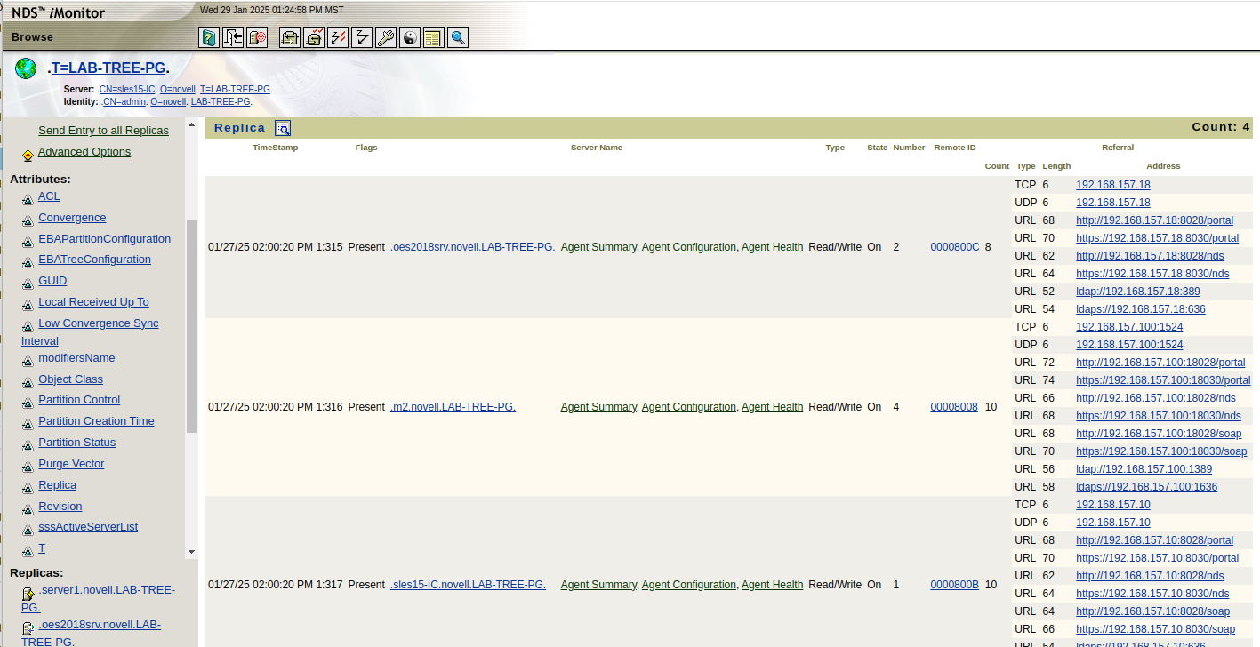 Error -699 in replica synchronization after modifying network ...
