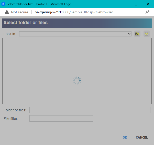 PVCS VM 8.7.0.0+ VM I-Net Web Client file browse dialog hangs (greyed out)